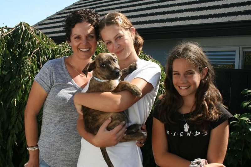 Foster a Dog - Saving Hope Foundation