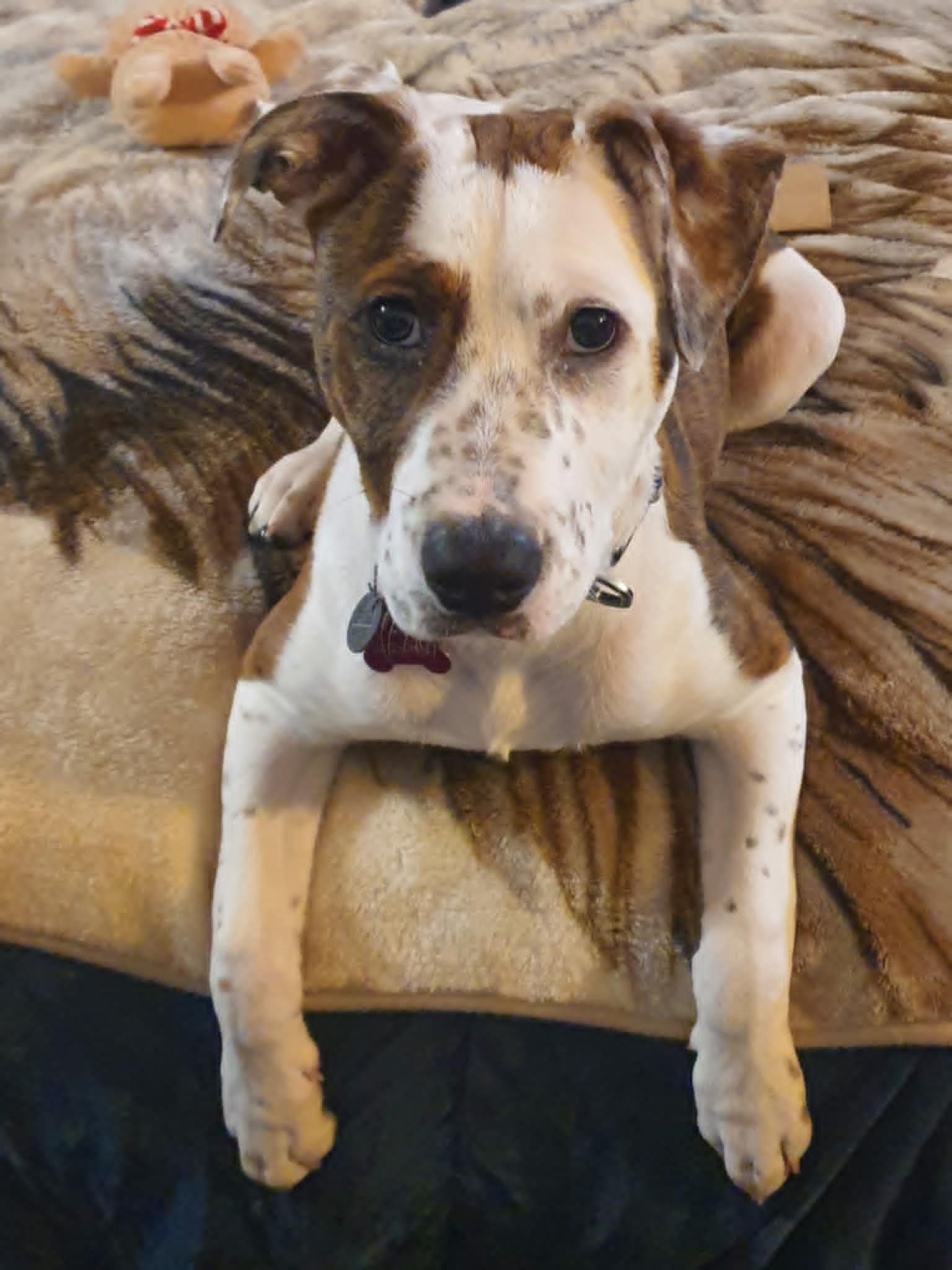 Sage - Saving Hope Foundation